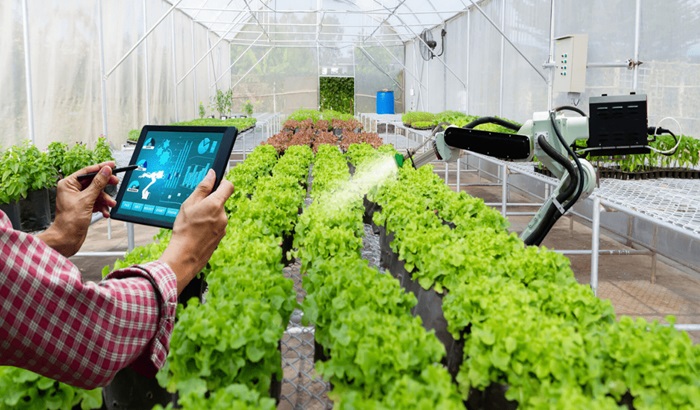 Educación - Corporación ACS